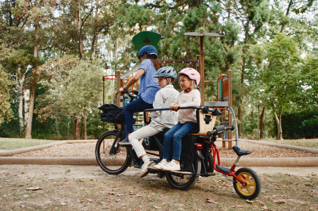Community longtail bike for family - Bike 43