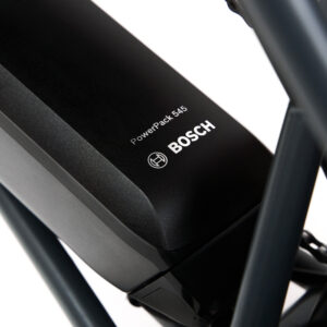 Family longtail bike - Bike 43, the family electric bike